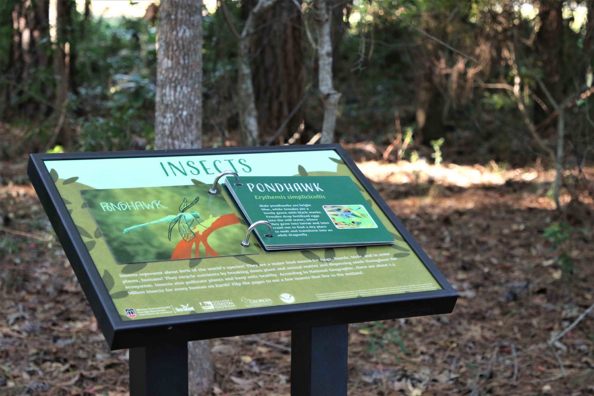 Zoo Exhibit Signs: How They Influence Visitor Flow & Experience