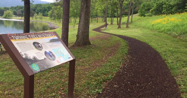 Custom Trail Signs: How Unique Panels Can Transform Your Visitor Experience