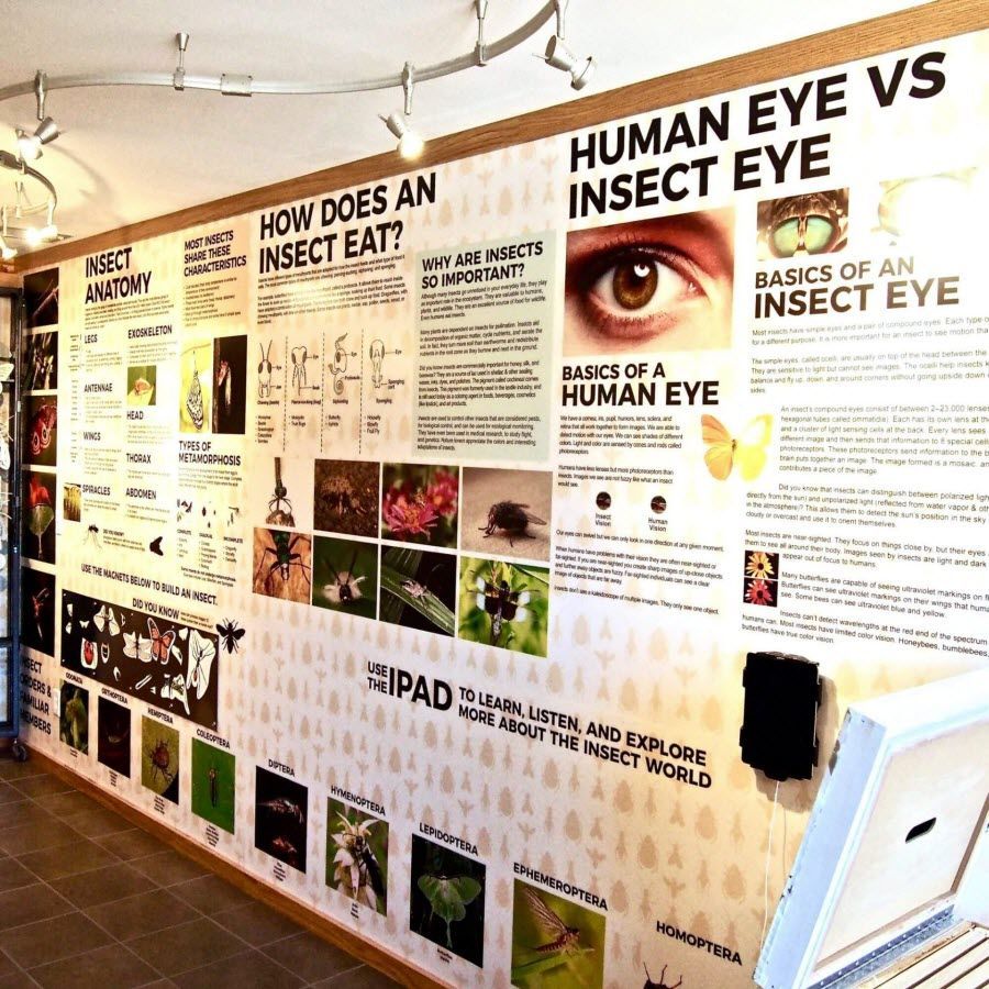 Large Outdoor Signs for Business | Pannier Graphics