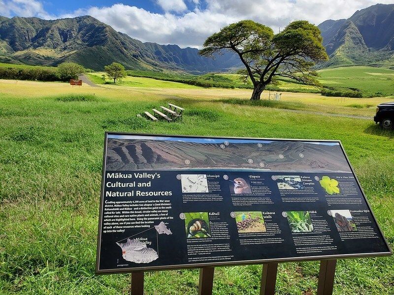 The Complete Guide to Outdoor Sign Board Material