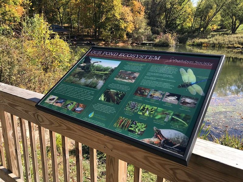 The Complete Guide to Outdoor Sign Board Material