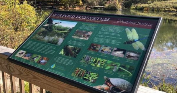 The Complete Guide to Outdoor Sign Board Material