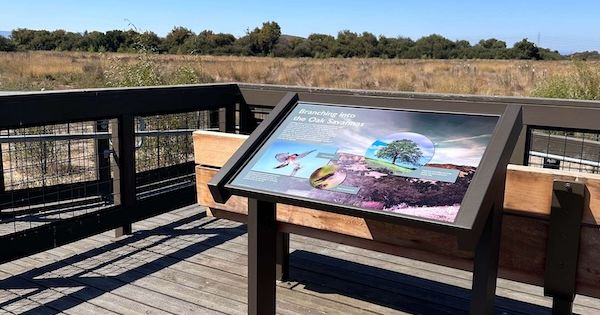 Interpretive Signage That Gets Read: Layout, Materials, and Longevity ...