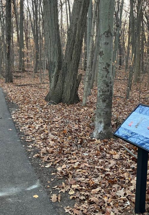 StoryWalk Signs & Frames | Pannier Graphics