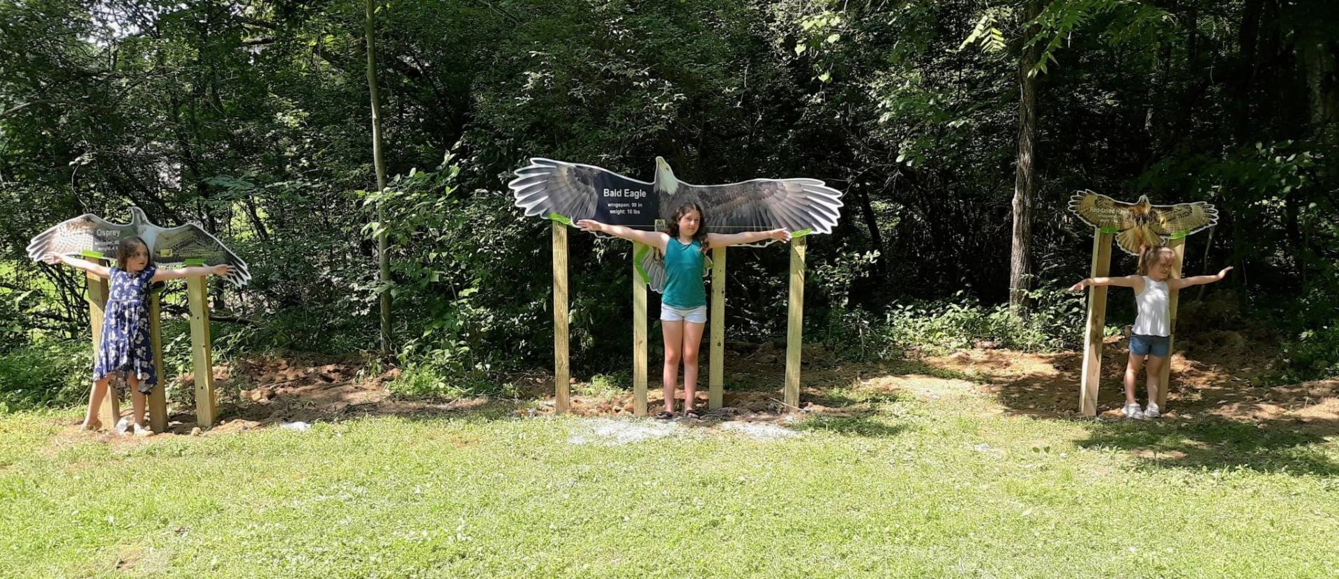 Custom Panels Create A Unique Visitor Experience | Pannier Graphics
