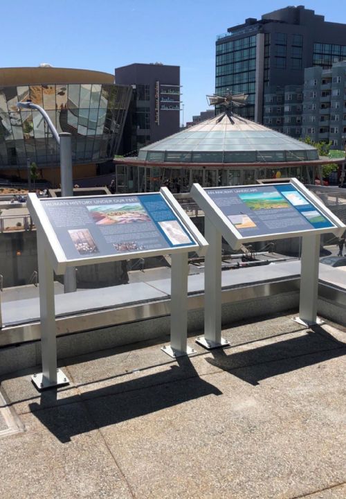 Traditional T | Pannier Graphics