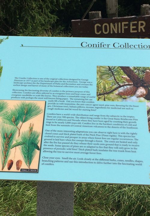 Single Pedestal | Pannier Graphics